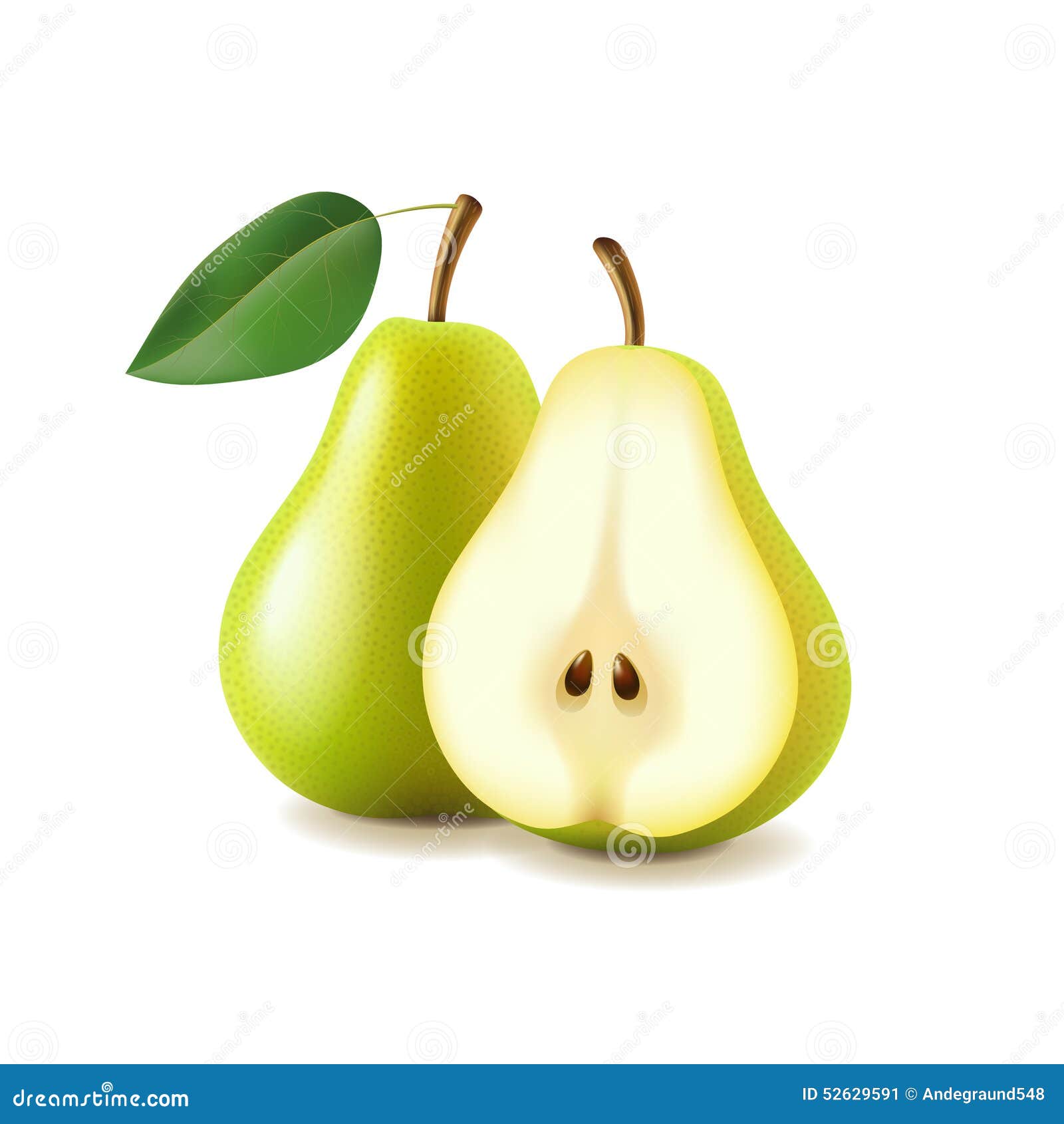 Peer En Plak Op Witte Vector Vector Illustratie - Illustration of ...