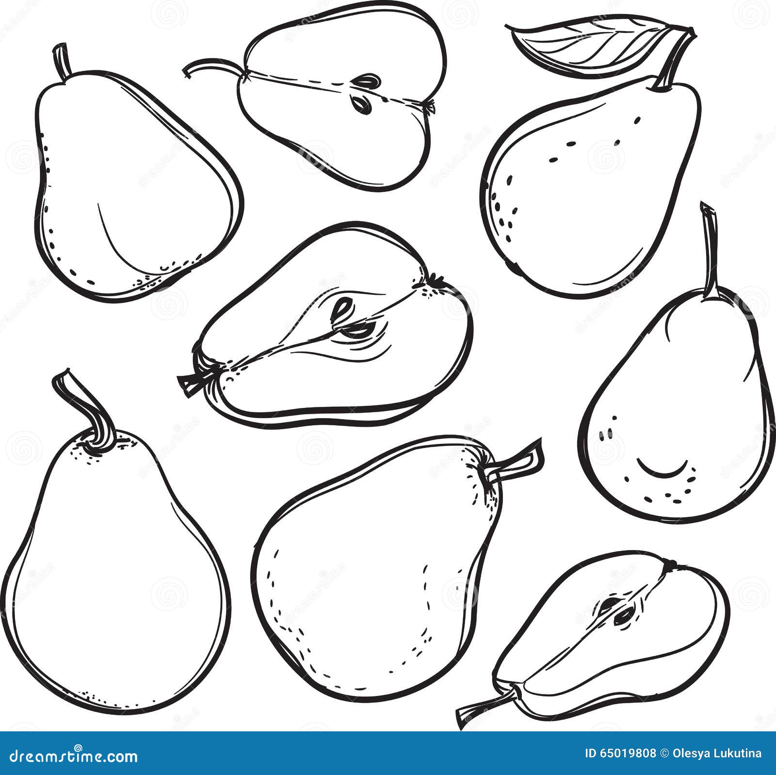 Peer Lijntekening Van Een Peer Vector Illustratie - Illustration of ...