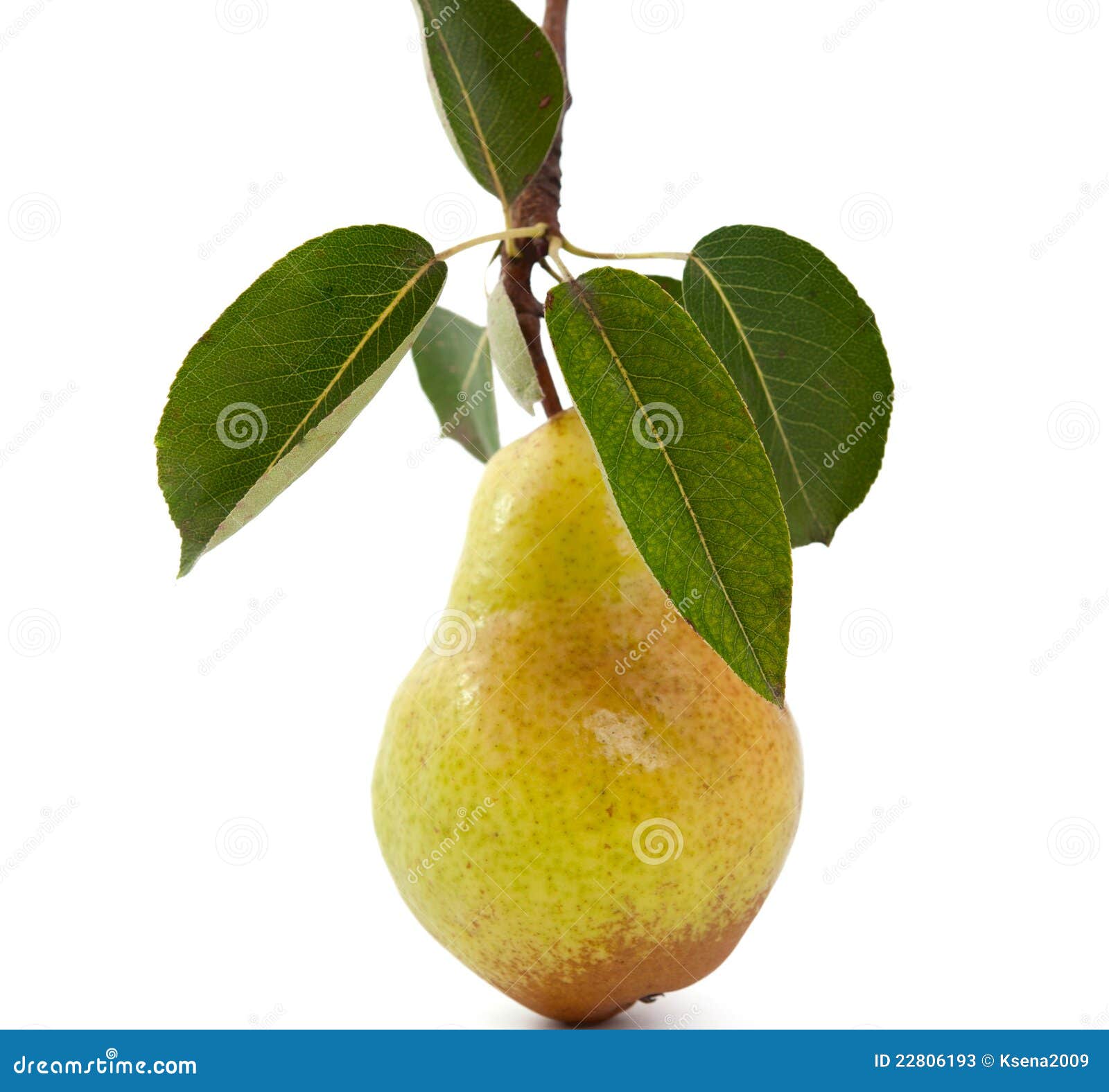 Peer met bladeren stock afbeelding. Image of vrucht, knippen - 22806193