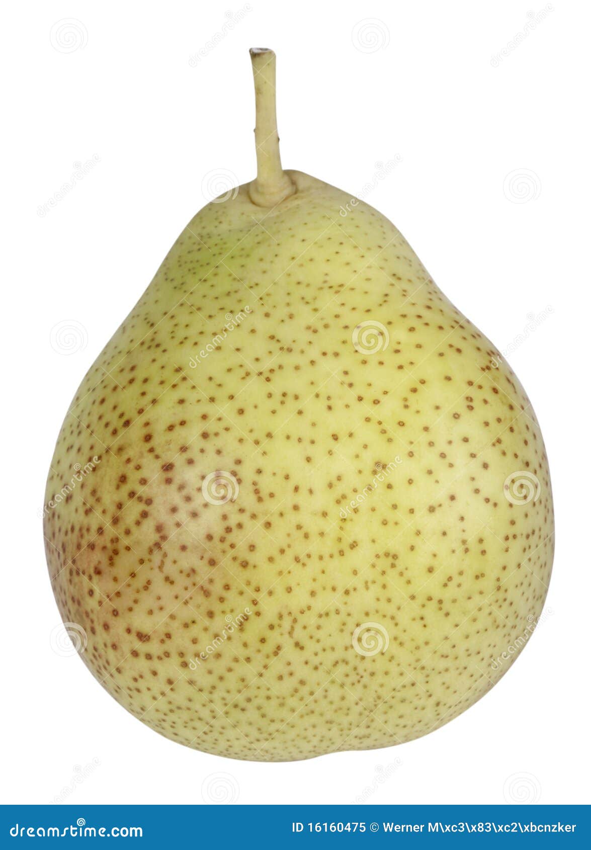 Peer Met Het Knippen Van Weg Stock Afbeelding - Image of geïsoleerd ...