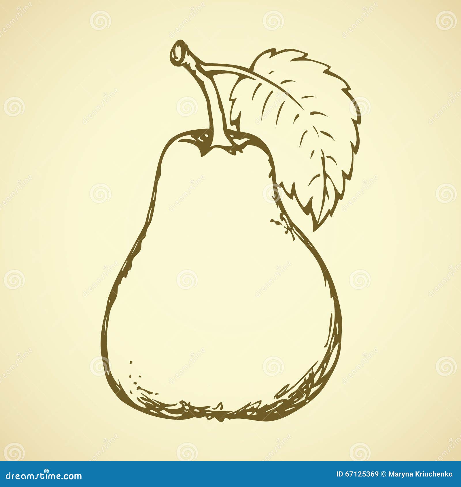 Peer Vector tekening vector illustratie. Illustration of vrucht - 67125369