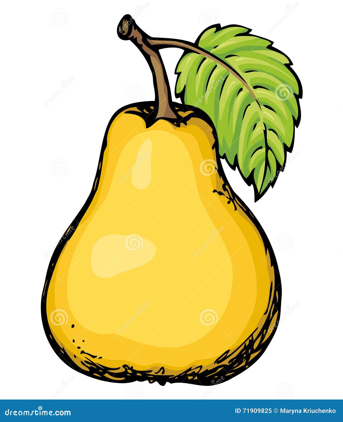 Peer Vector tekening vector illustratie. Illustration of blad - 71909825