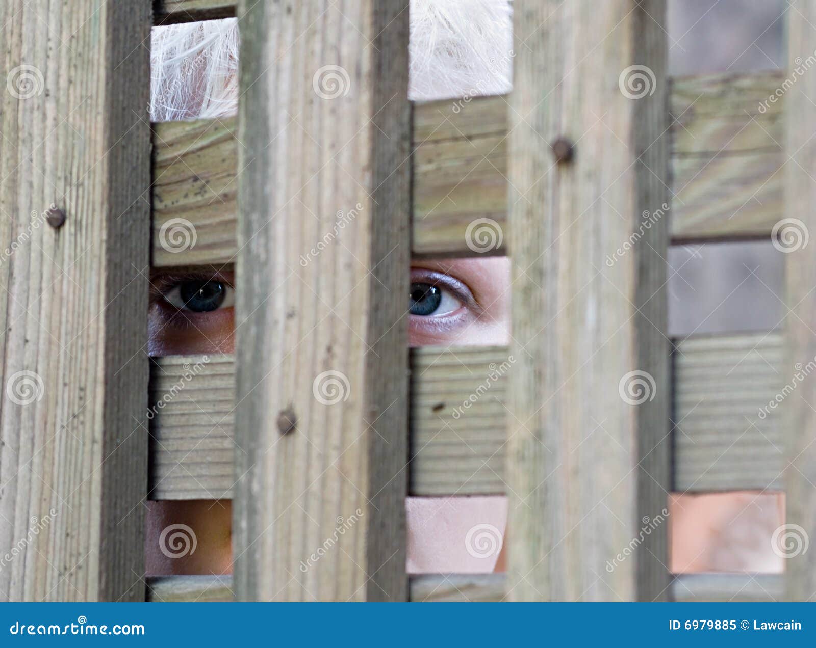 1,466 Peering Eyes Stock Photos - Free & Royalty-Free Stock Photos from ...
