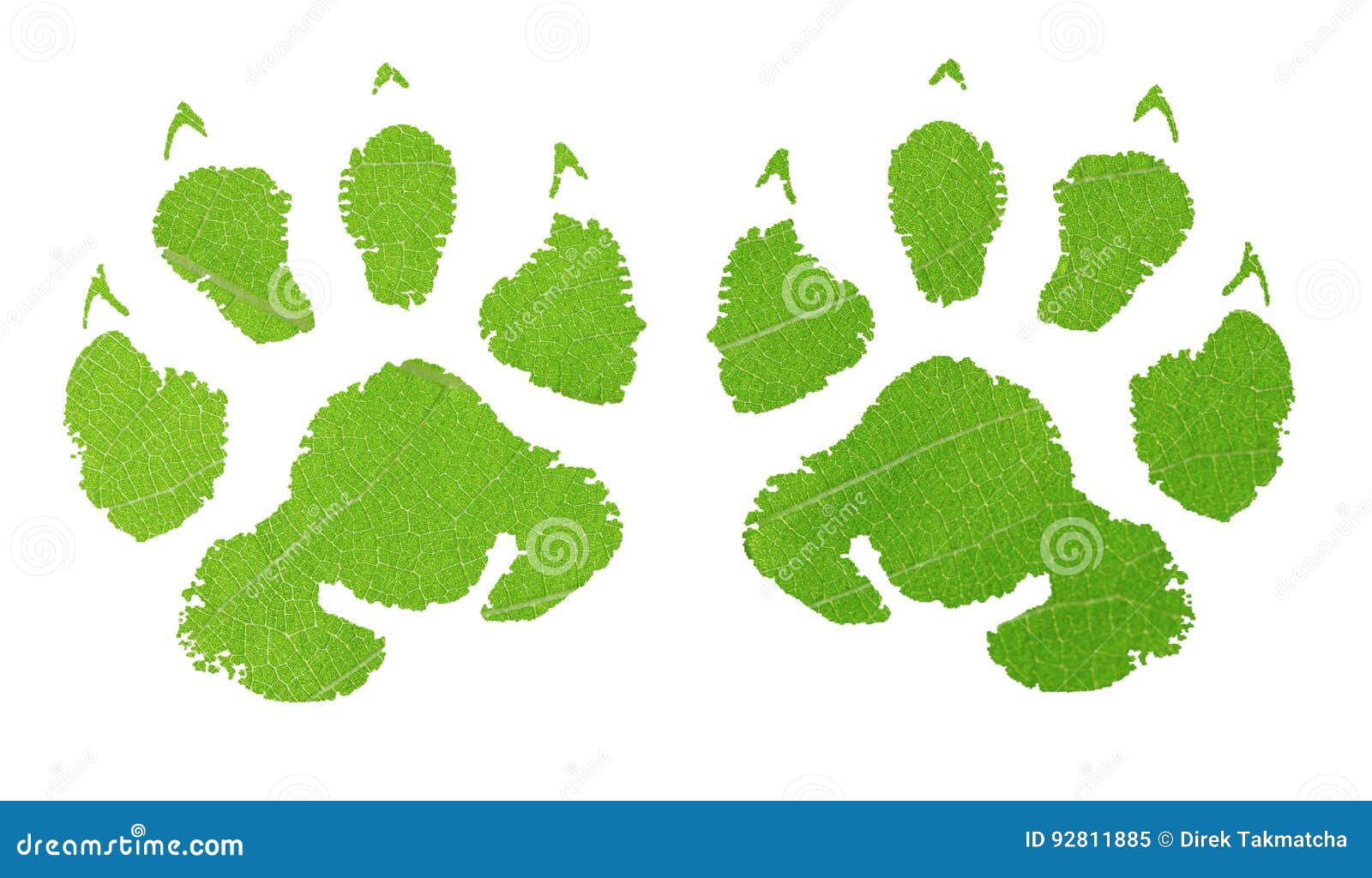 669 Pegada Animal Verde Fotos - Fotos de Stock Gratuitas e Fotos ...