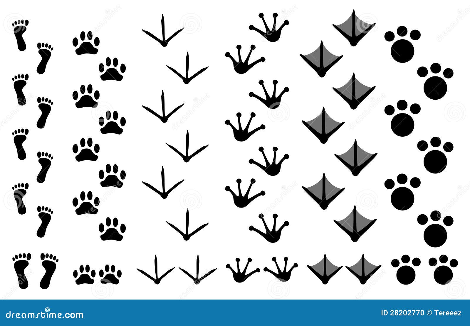 Pegadas animais ajustadas ilustração do vetor. Ilustração de silhueta ...