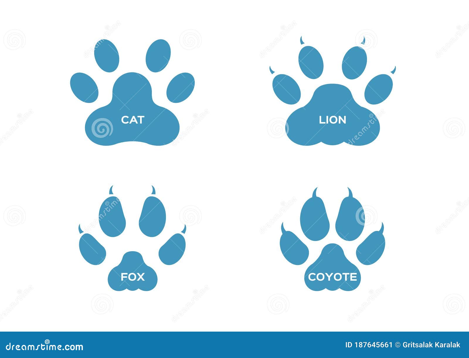 Pegadas De Pata E Animais, Raposa-de-leão Ilustração do Vetor ...