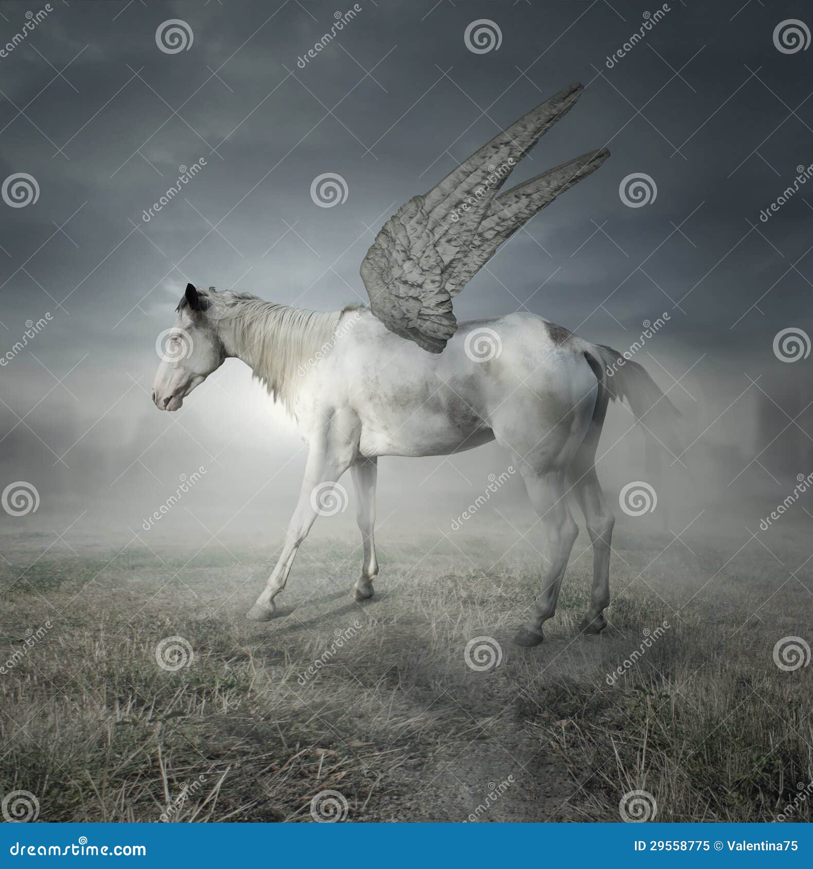 Pegaso imagen de archivo. Imagen de campo, elegancia - 29558775