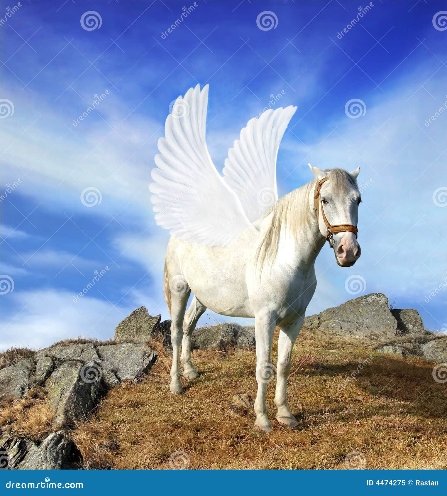 Pegasus, The Mythical Winged Horse. Royalty-Free Stock Image ...