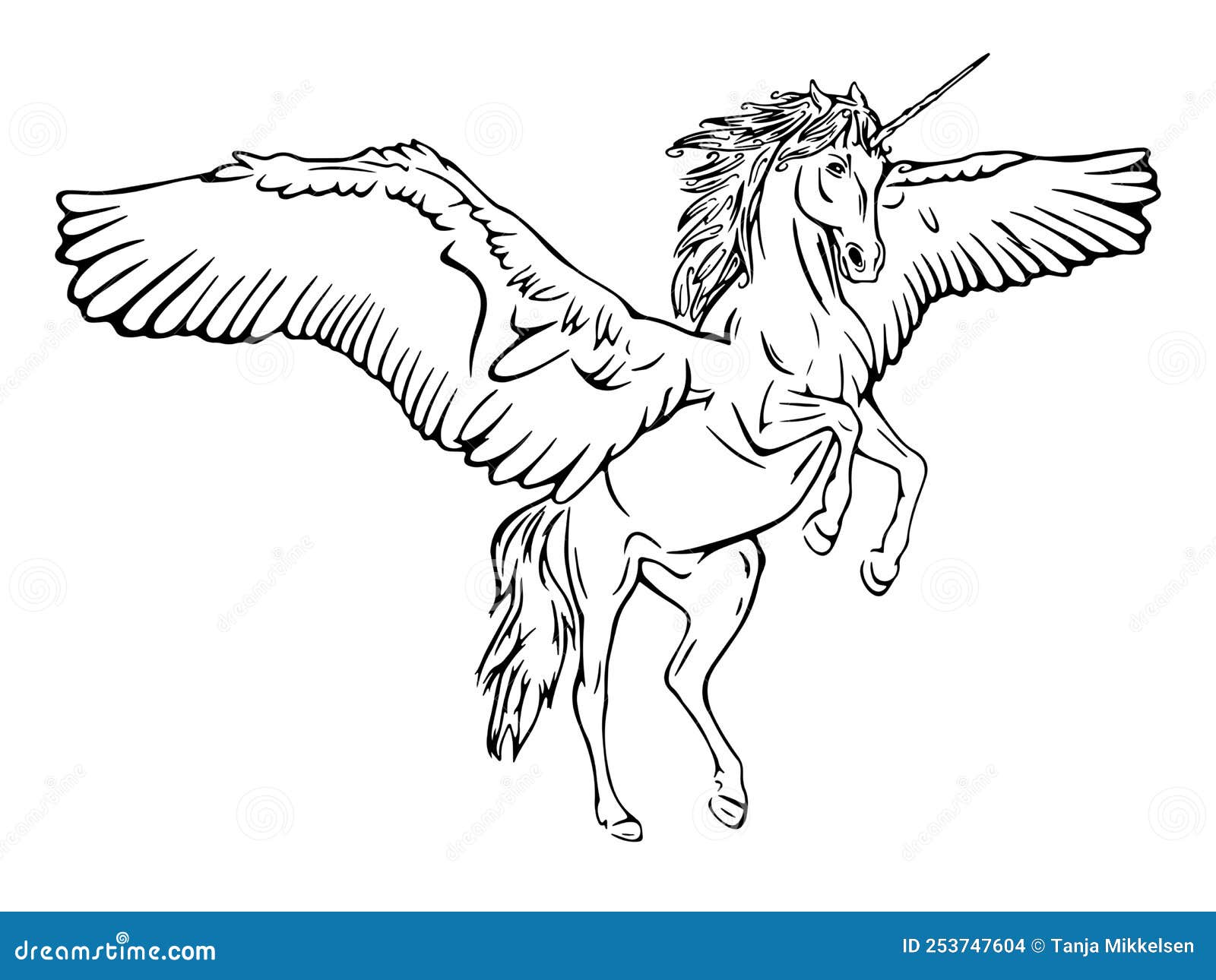 Pegasus outline vector ~ stock photo. Illustration of beautiful - 253747604