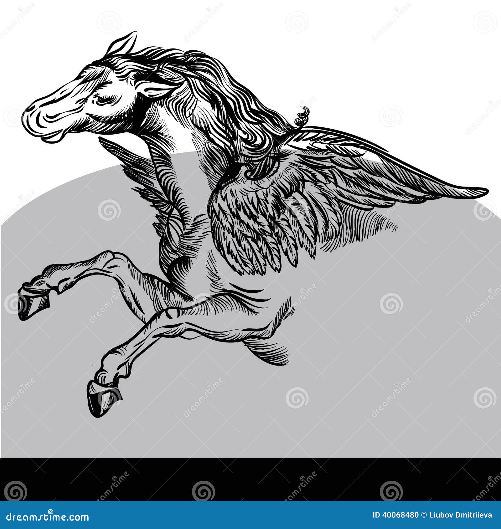 Pegasus Vector Illustration Black And White | CartoonDealer.com #40068480