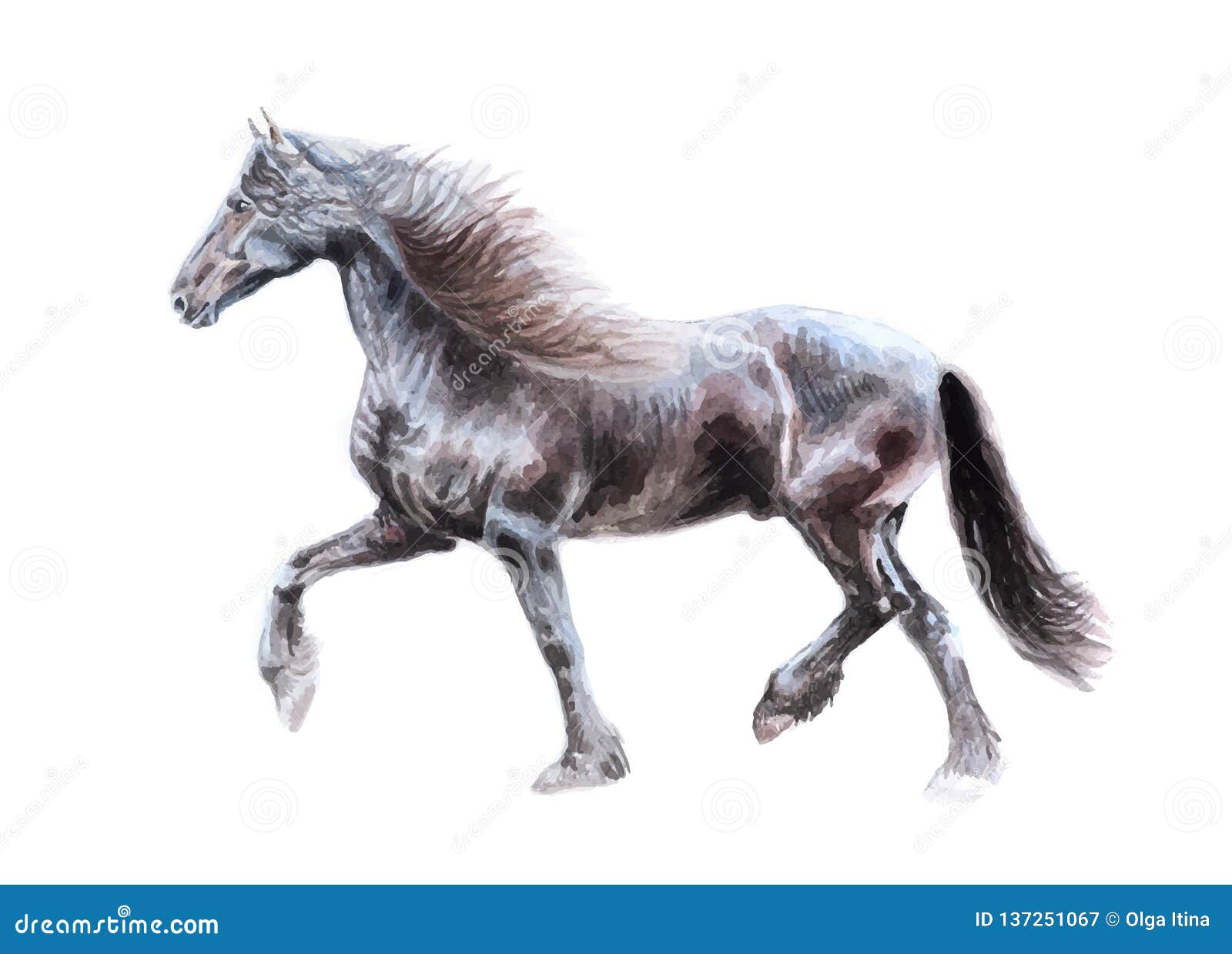 Peinture D'aquarelle Du Cheval Frison Illustration de Vecteur ...
