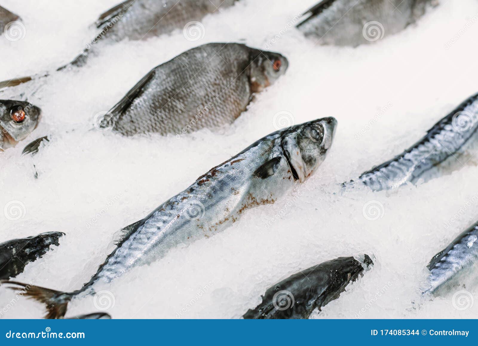 Peixe Congelado Em Gelo Num Supermercado. Fechar Foto de Stock - Imagem ...
