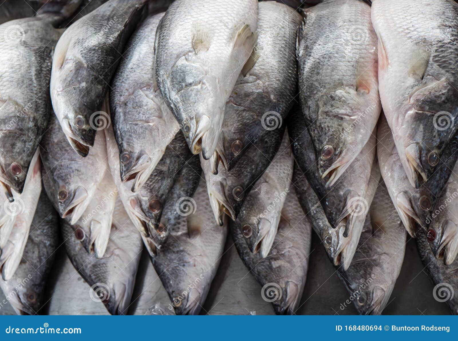 Peixe Fresco No Gelo No Mercado Foto de Stock - Imagem de delicadeza ...