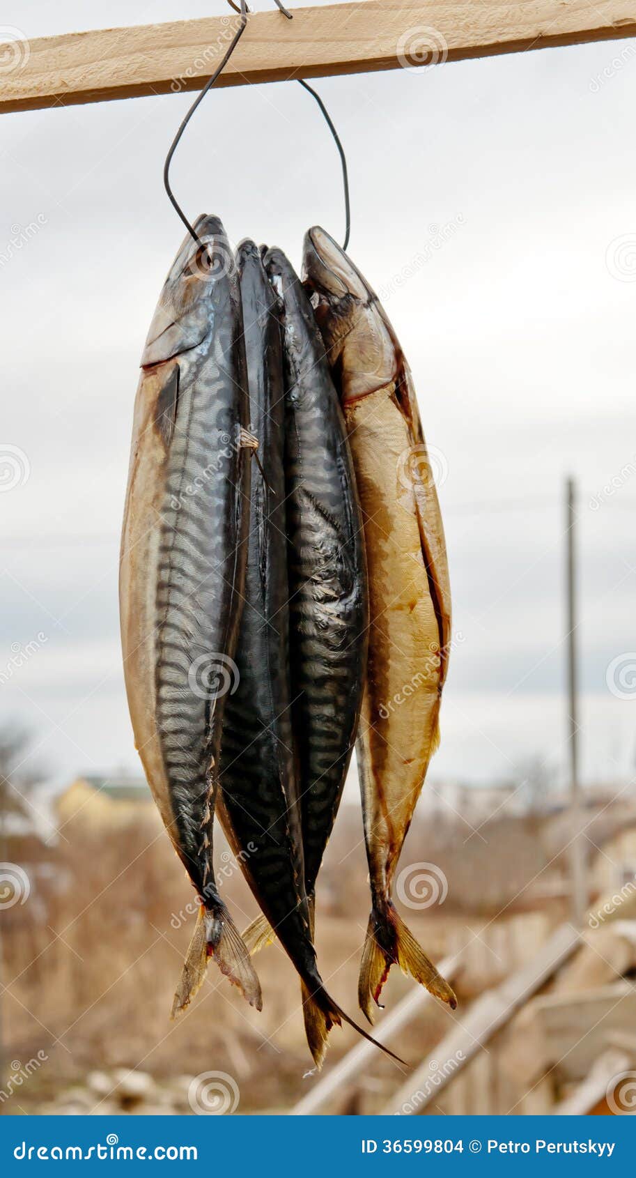 Peixe seco foto de stock. Imagem de cenas, vertical, varas - 36599804