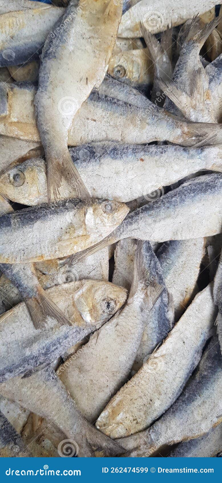 Peixe Seco E Salgado Para Batatas Fritas Salgadas, Primeiro Para ...