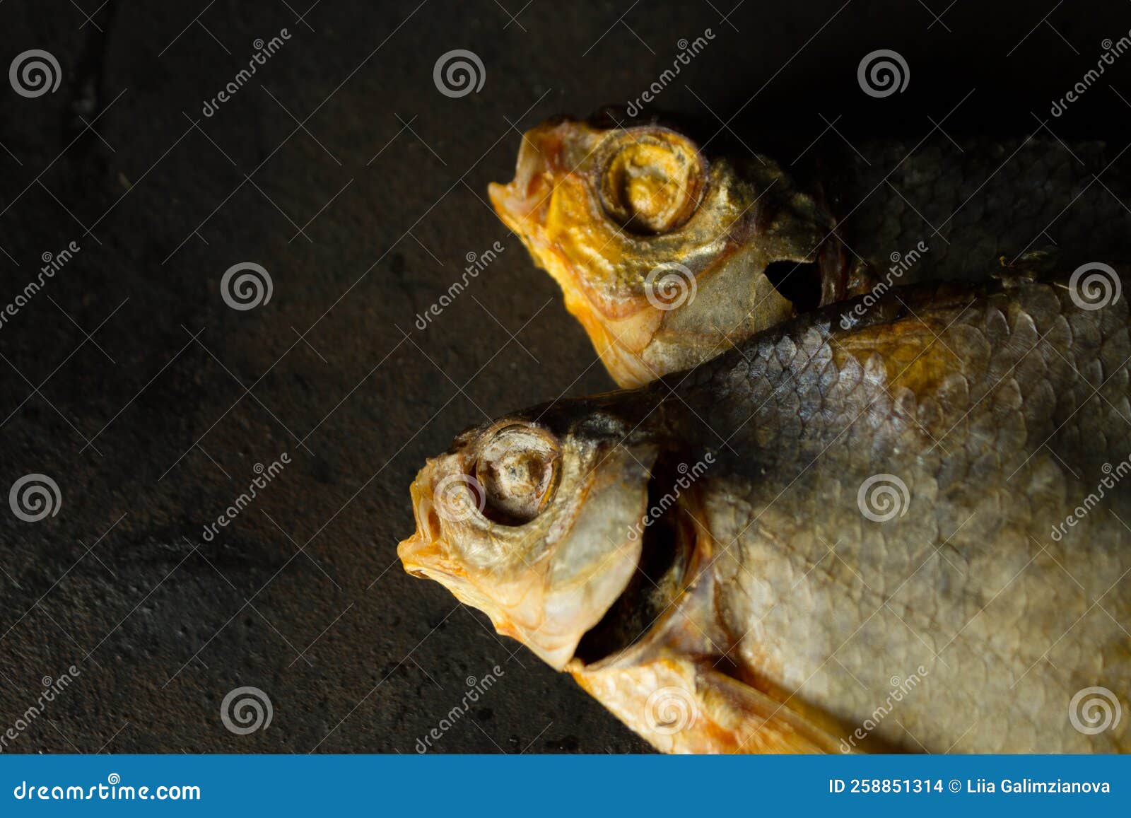 Peixe seco foto de stock. Imagem de pinta, ladeira, delicioso - 258851314