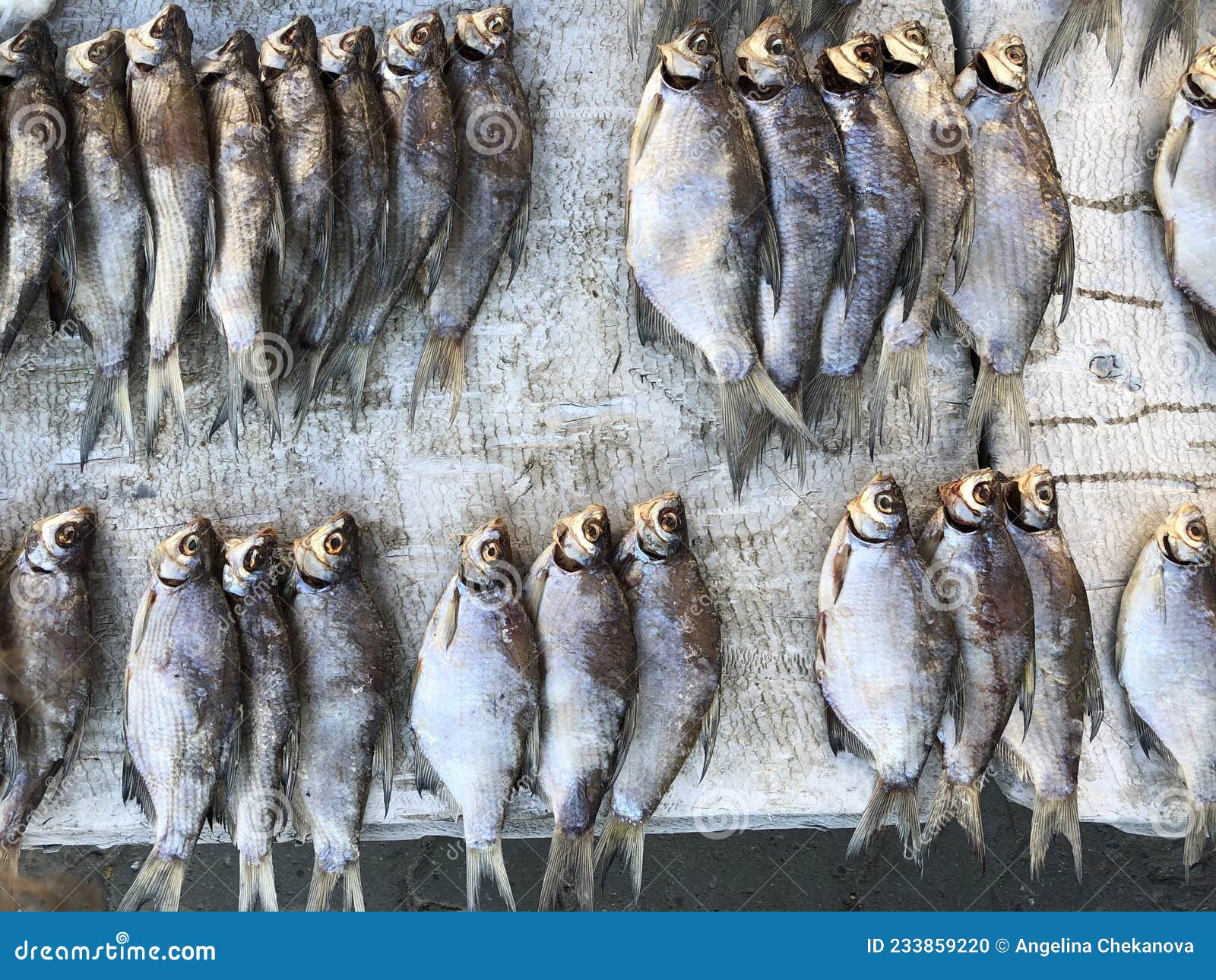 Peixe seco no mercado foto de stock. Imagem de verde - 233859220