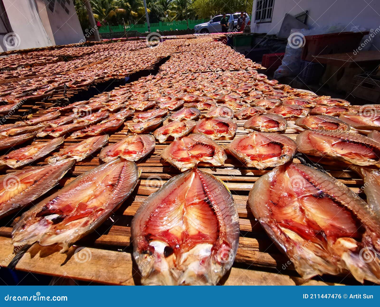 Peixe seco no painel foto de stock. Imagem de secado - 211447476