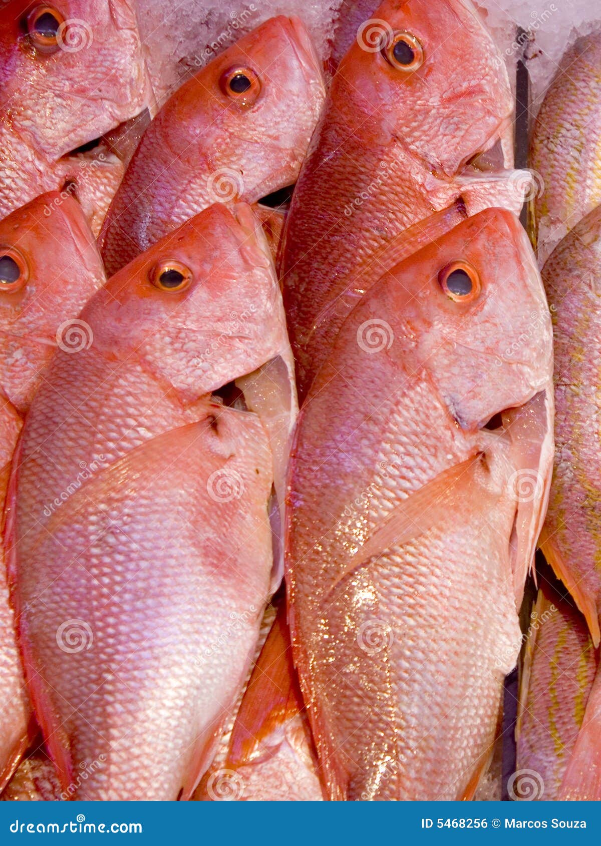 Peixes cor-de-rosa foto de stock. Imagem de mercado, supermercado - 5468256