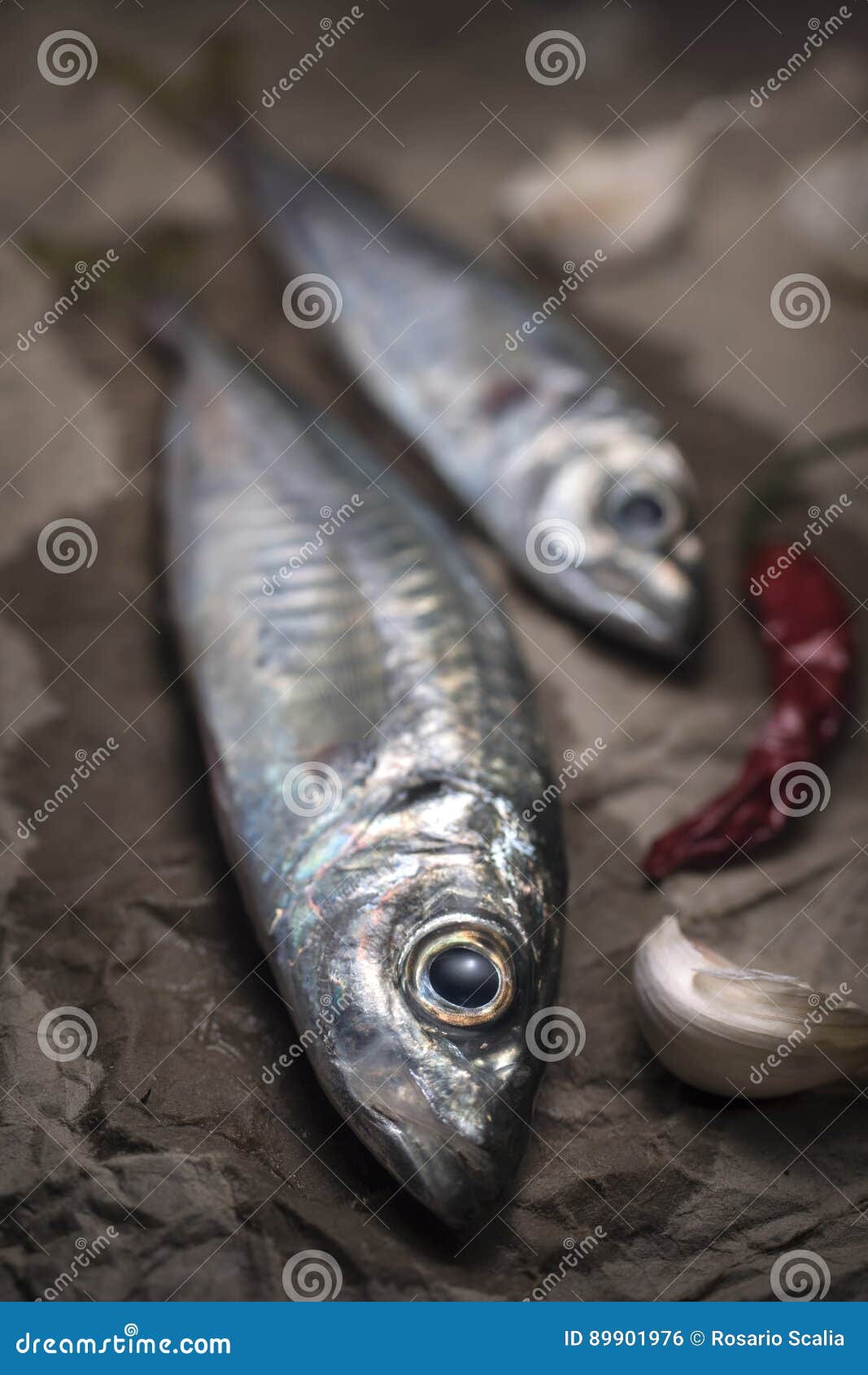 Peixes da cavala foto de stock. Imagem de alimento, fresco - 89901976