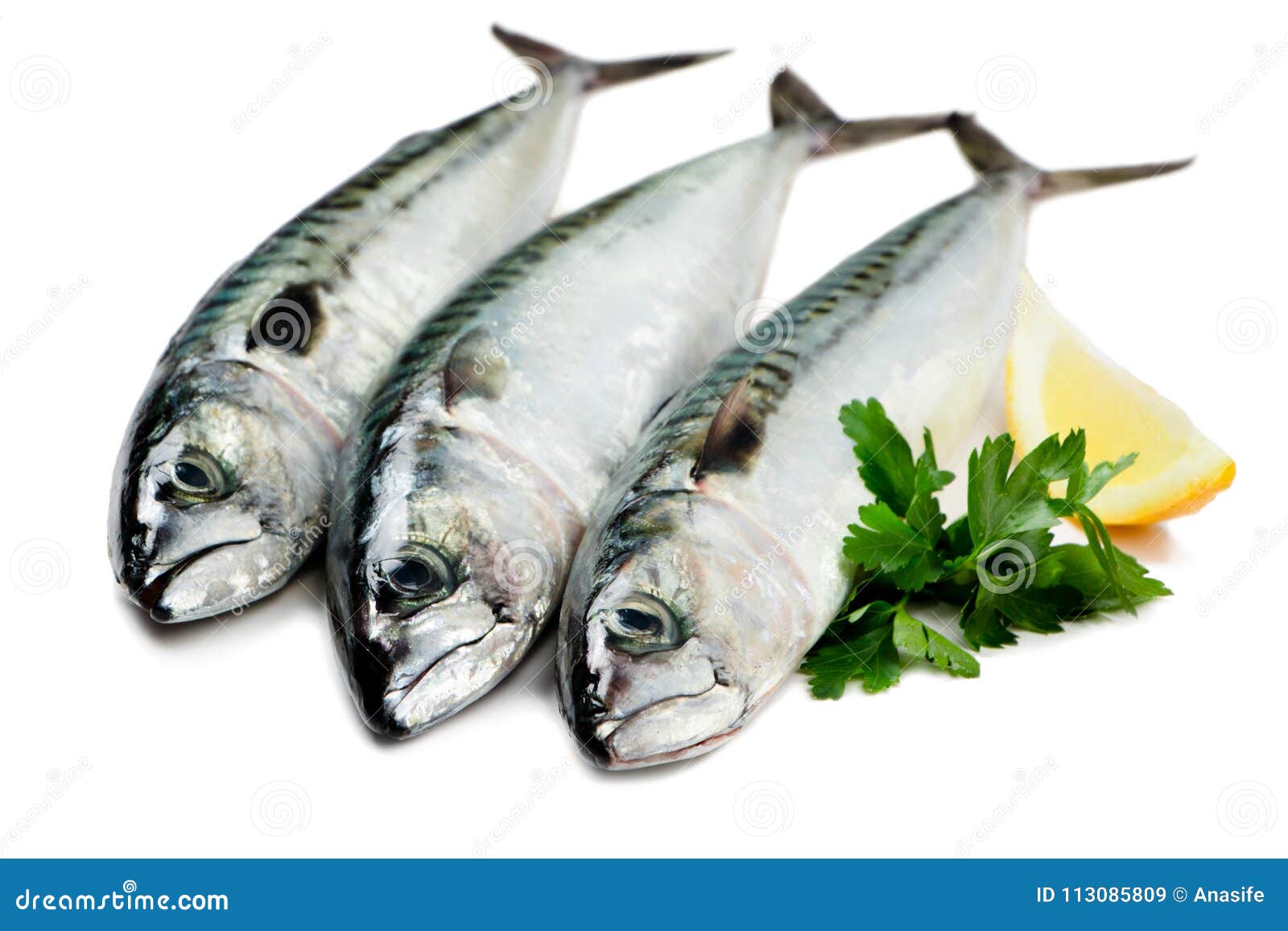 Peixes Da Cavala Isolados No Branco Imagem de Stock - Imagem de cavala ...