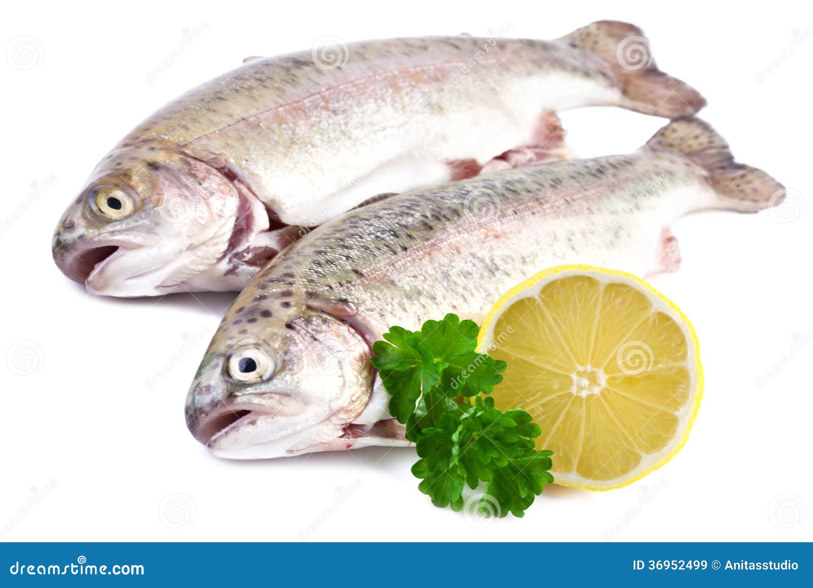 Peixes da truta imagem de stock. Imagem de horizontal - 36952499