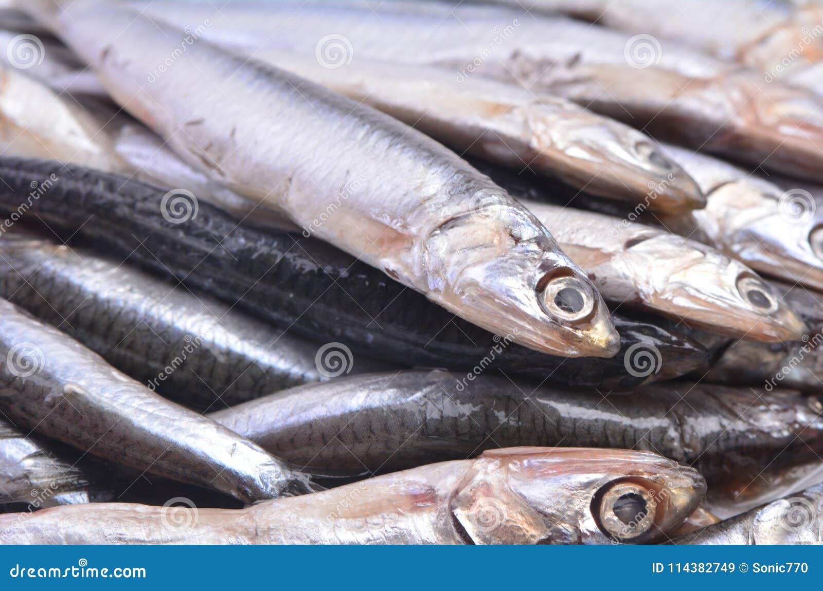 Peixes do arenque pequeno imagem de stock. Imagem de loja - 114382749