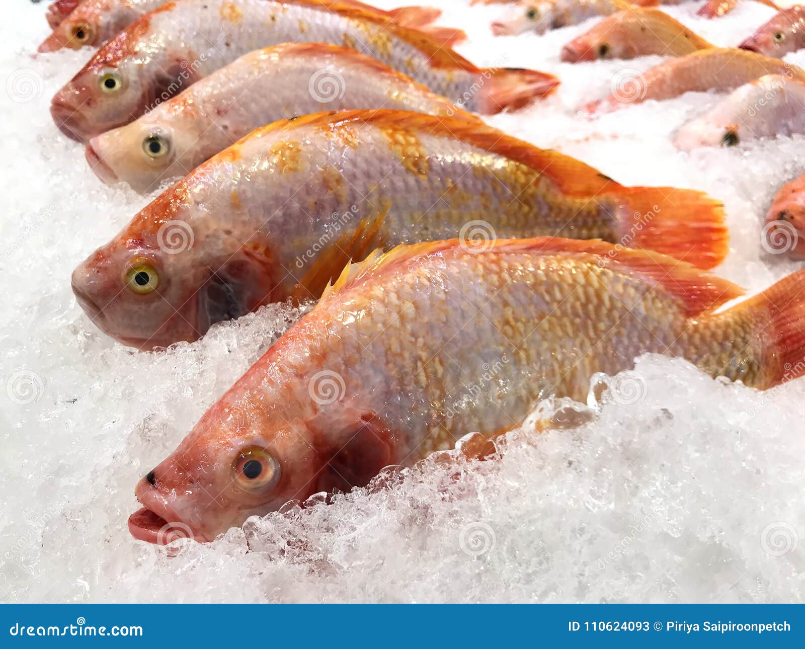 Peixes Do Rubi No Gelo, Vendido No Mercado Imagem de Stock - Imagem de ...