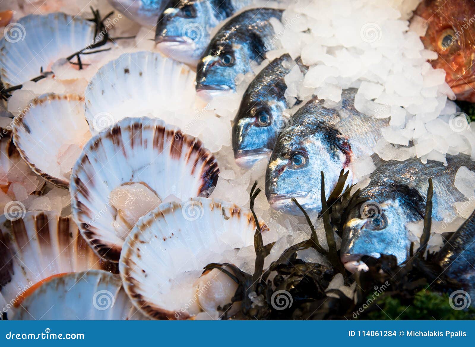 Peixes no gelo foto de stock. Imagem de horizontal, alimento - 114061284