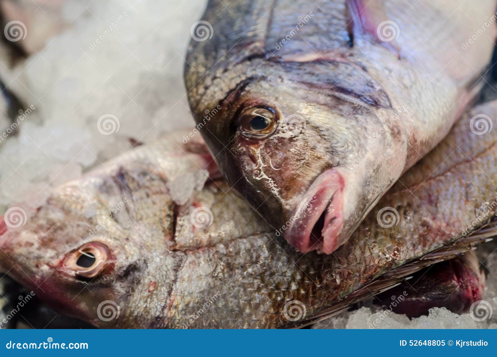 Peixes no gelo imagem de stock. Imagem de fresco, fundo - 52648805
