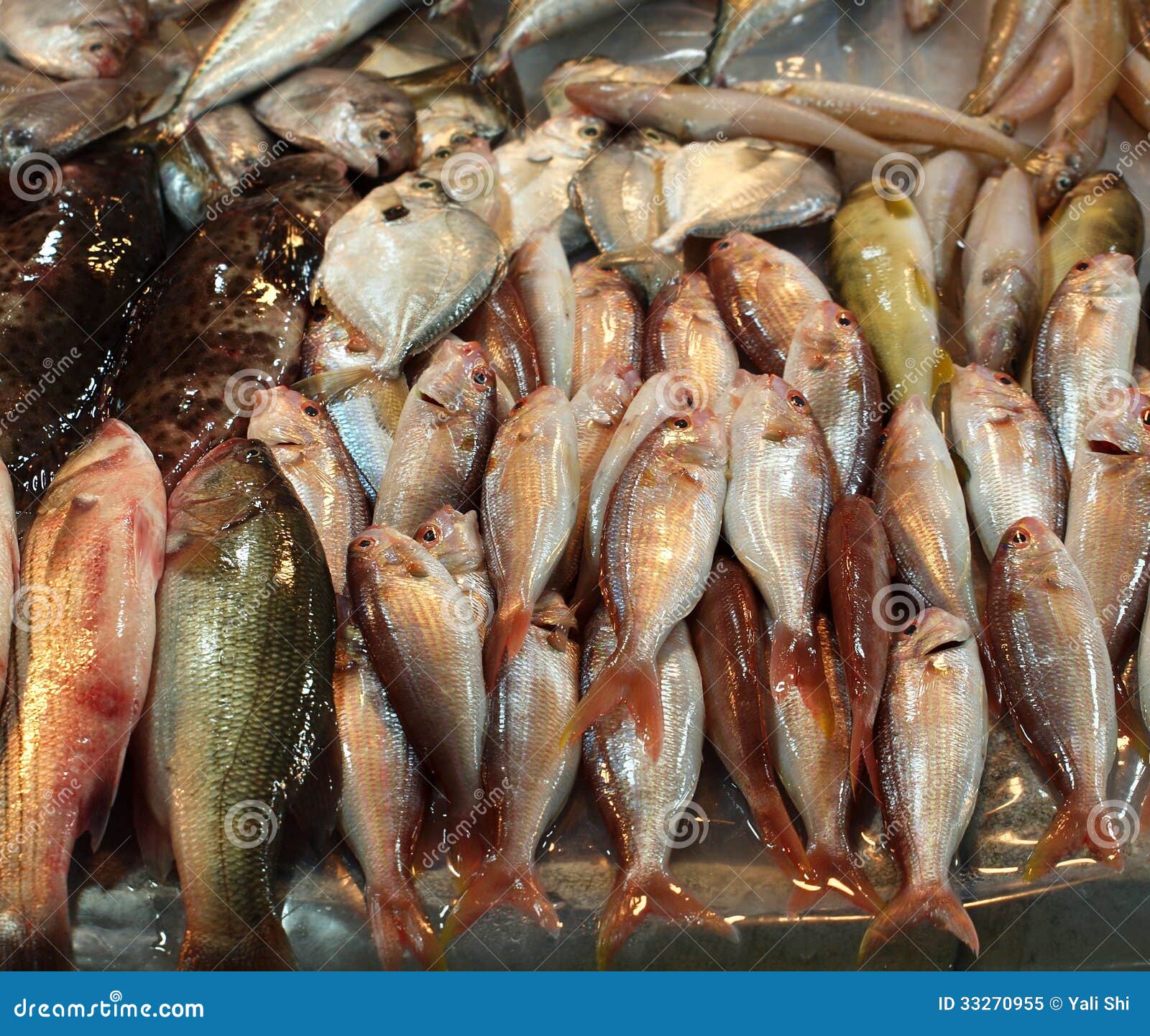 Peixes Para a Venda Em Taiwan Imagem de Stock - Imagem de fresco ...