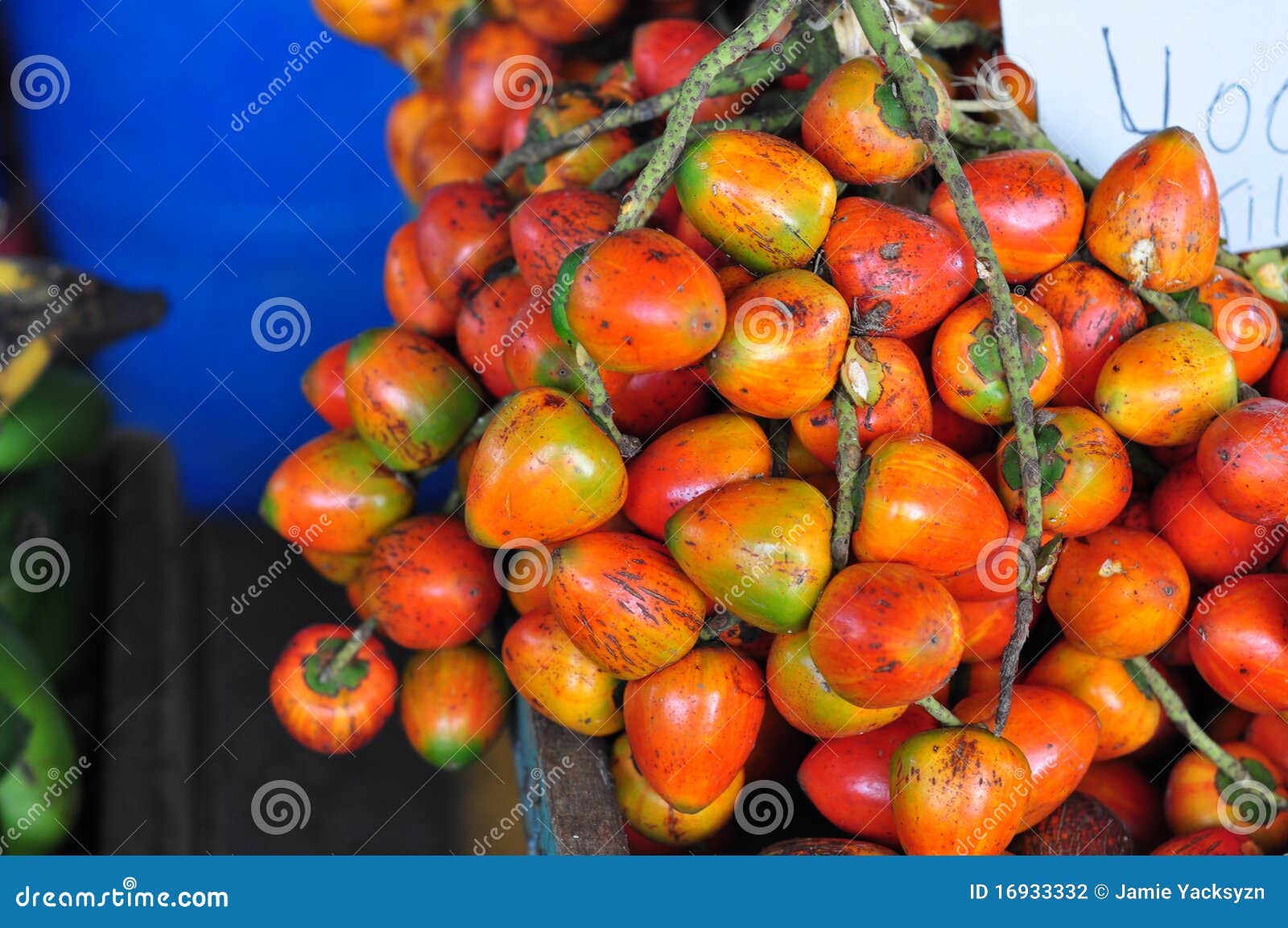 Pejibaye at Market stock photo. Image of costa, nature - 16933332