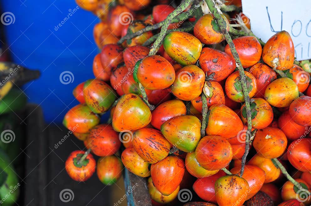 Pejibaye at Market stock photo. Image of nature, food - 16933332