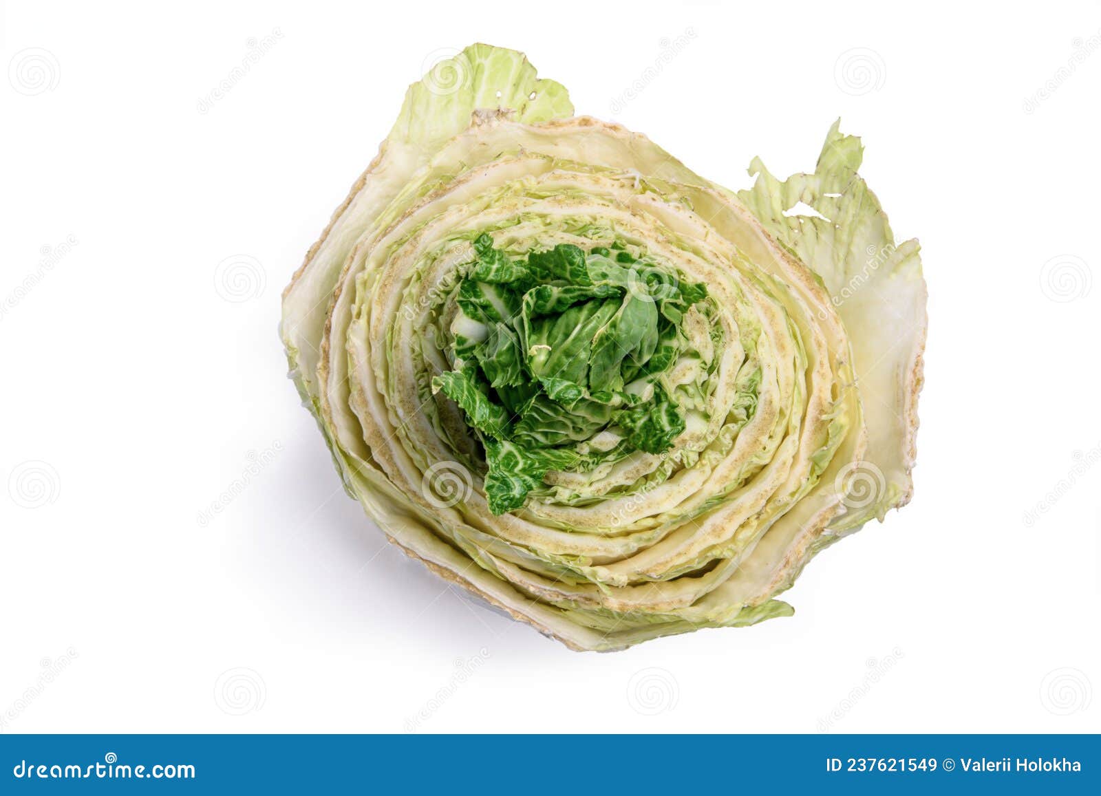 Peking Cabbage, Cut in Half, Photographed from Above Against a White ...