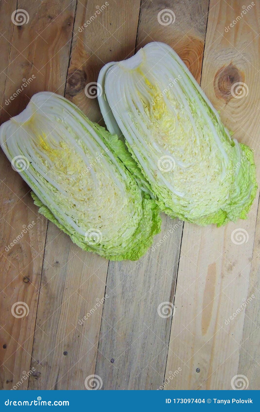 Peking cabbage in a cut stock photo. Image of agriculture - 173097404