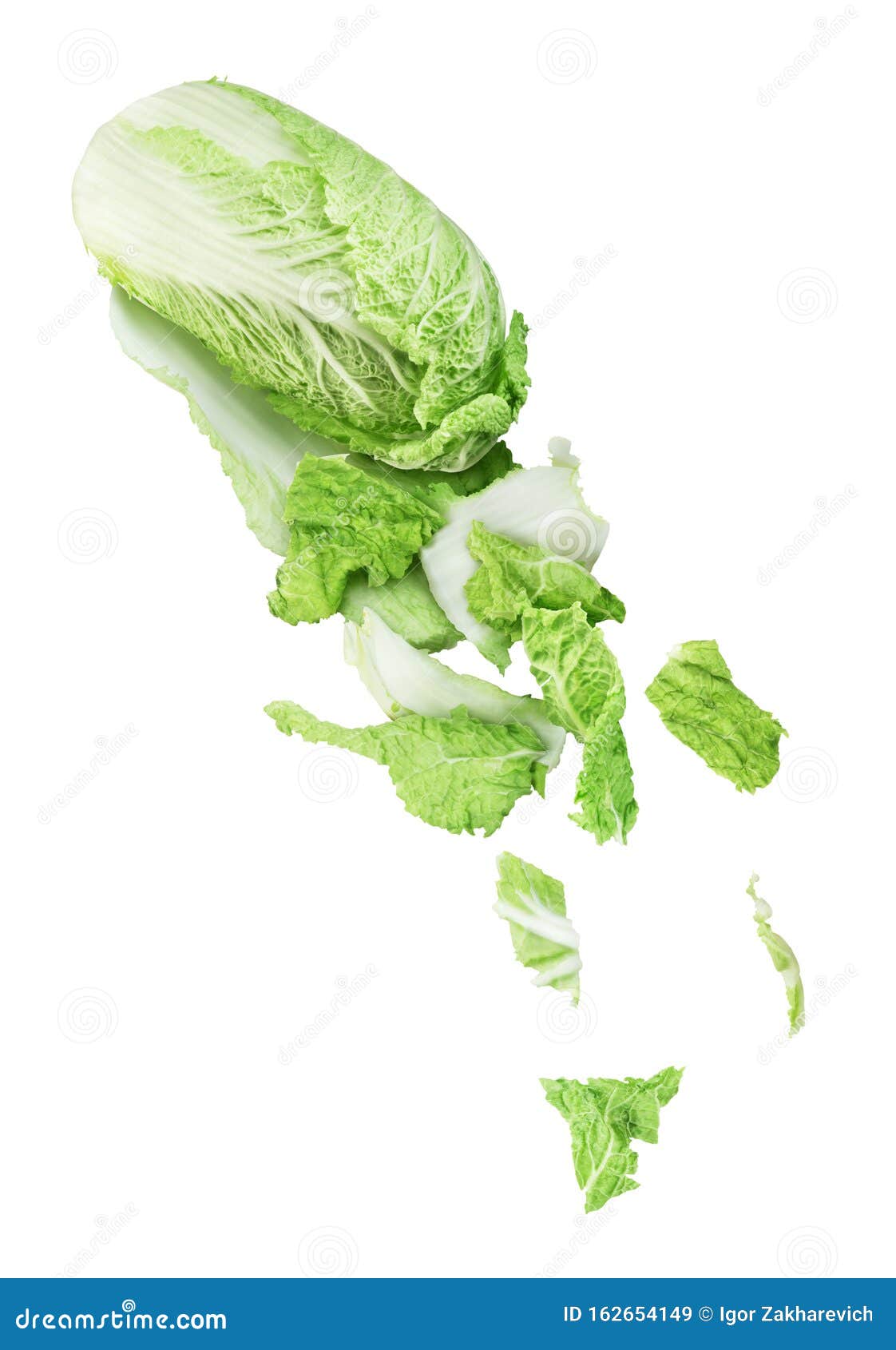 Peking Cabbage Fly Apart Isolated Stock Image - Image of nature ...