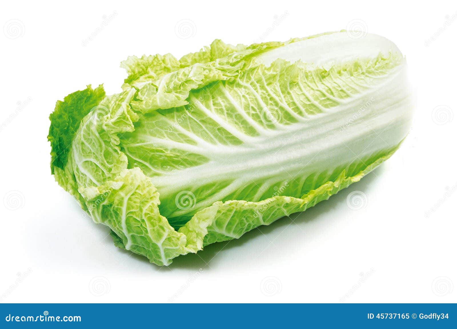 Peking cabbage stock image. Image of green, single, leaf - 45737165