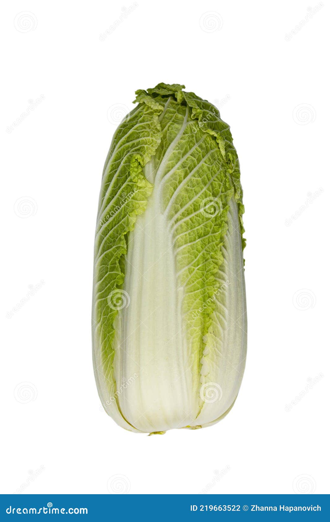 Peking Cabbage, on White Isolated Background. Natural Product Stock ...
