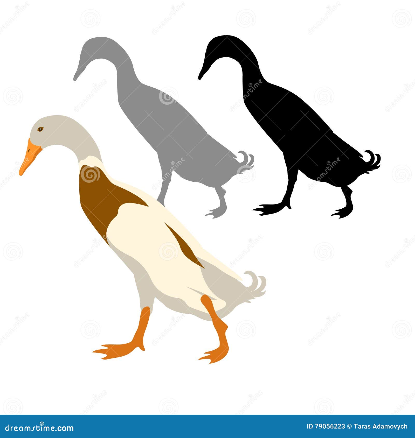 Peking Duck Vector Illustration Flat Set Stock Vector - Illustration of ...