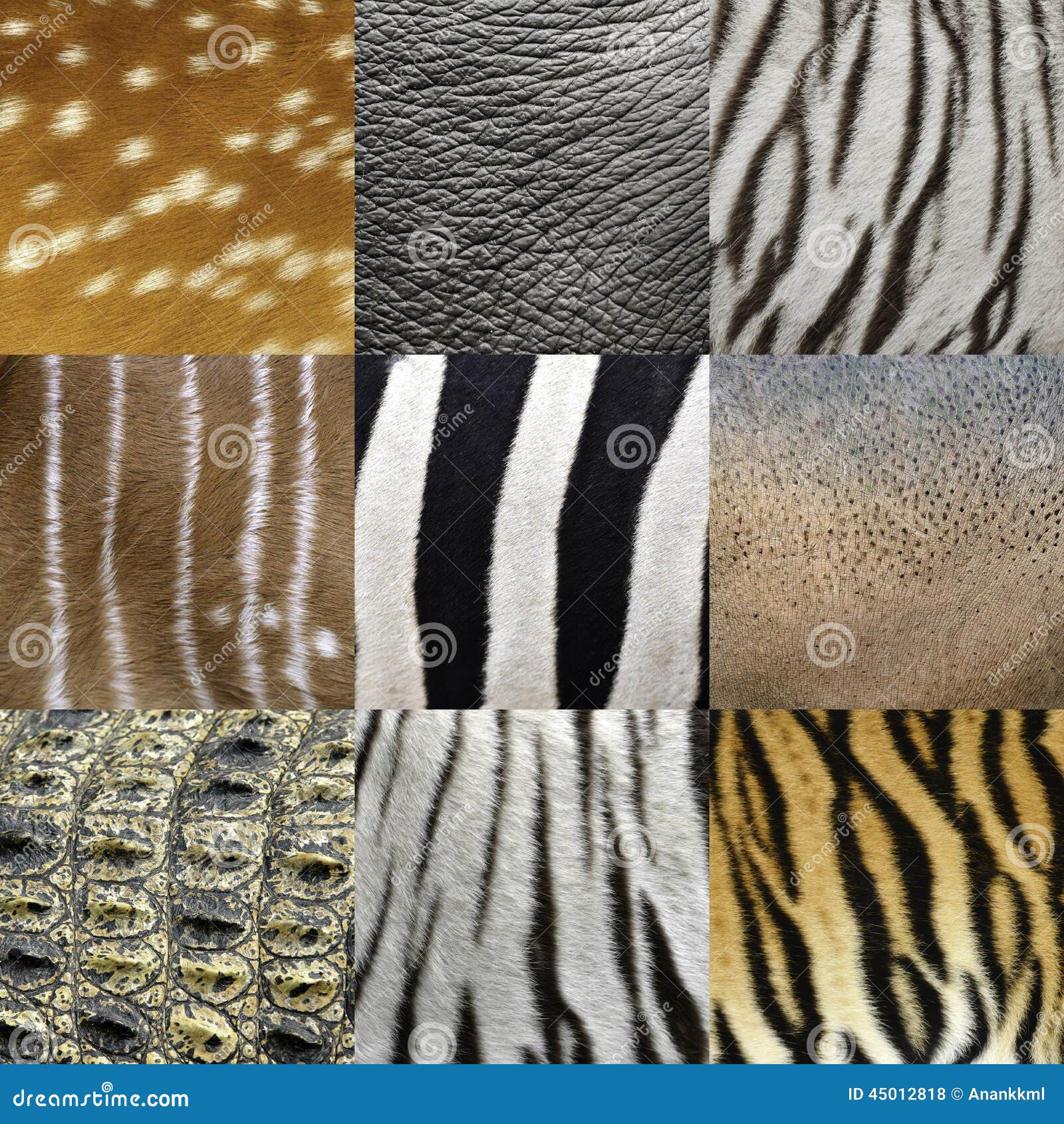 Pele de animais foto de stock. Imagem de wildlife, branco - 45012818