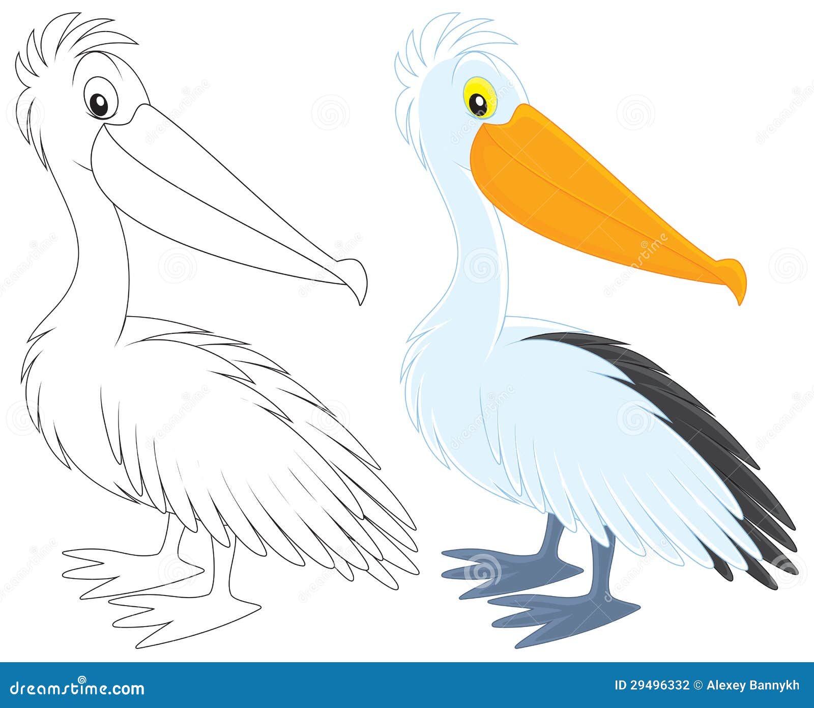 Pelican stock illustration. Illustration of animal, outline - 29496332
