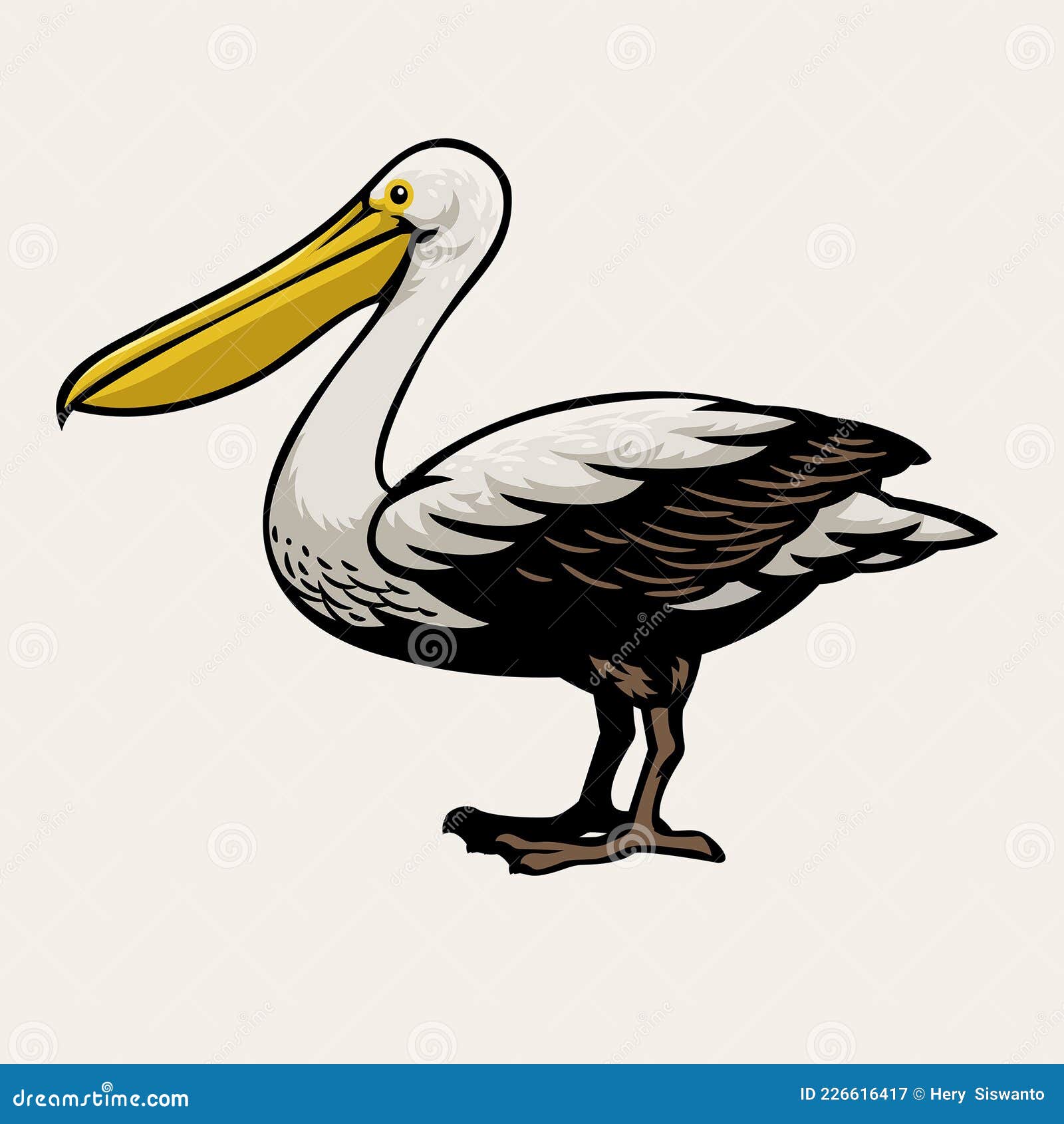 Pelican bird drawing stock vector. Illustration of animal - 226616417