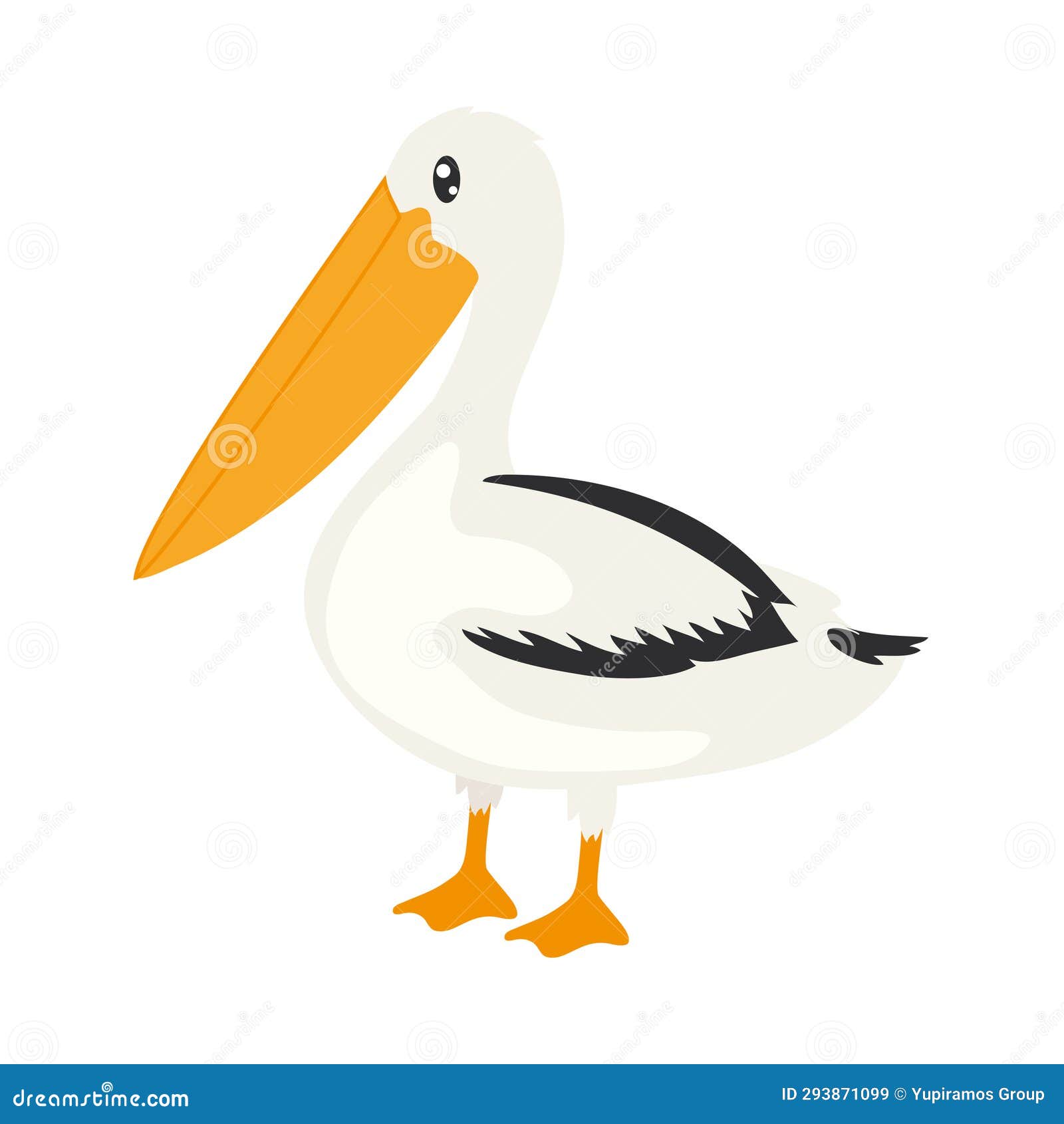 Pelican Illustration Design Stock Vector - Illustration of beautiful ...