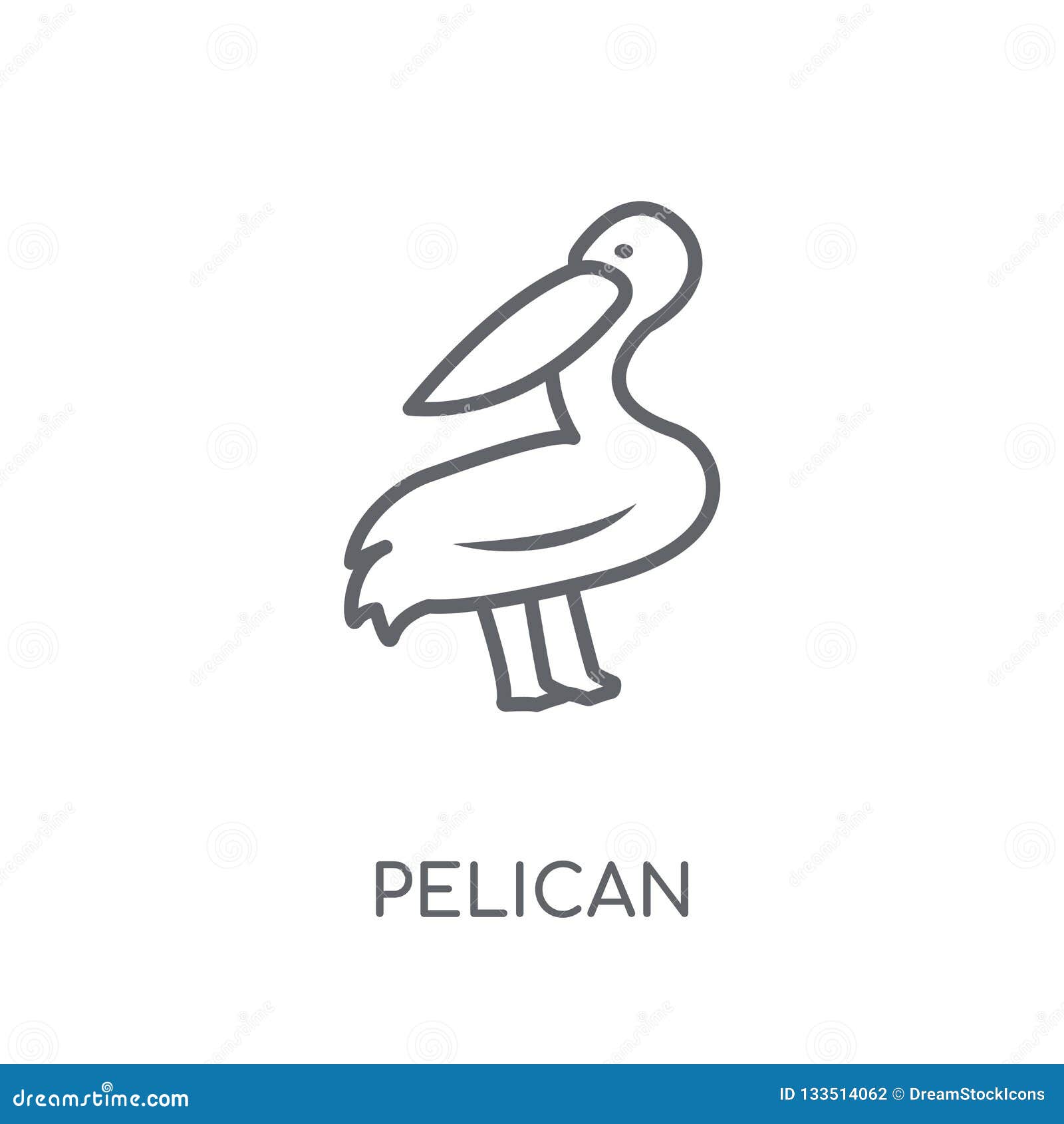 Pelican Linear Icon. Modern Outline Pelican Logo Concept on Whit Stock ...
