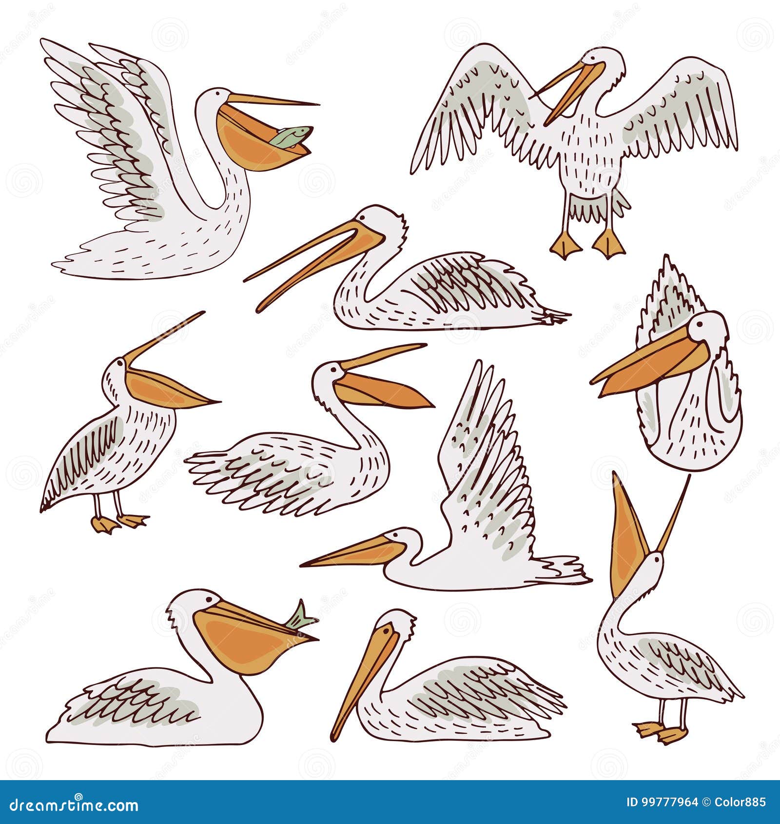 Pelicans, Illustration, Vector Stock Vector - Illustration of drawing ...
