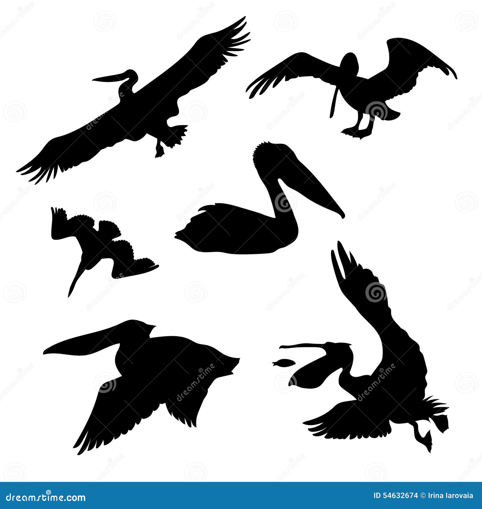 Pelican set vector stock vector. Illustration of vector - 54632674