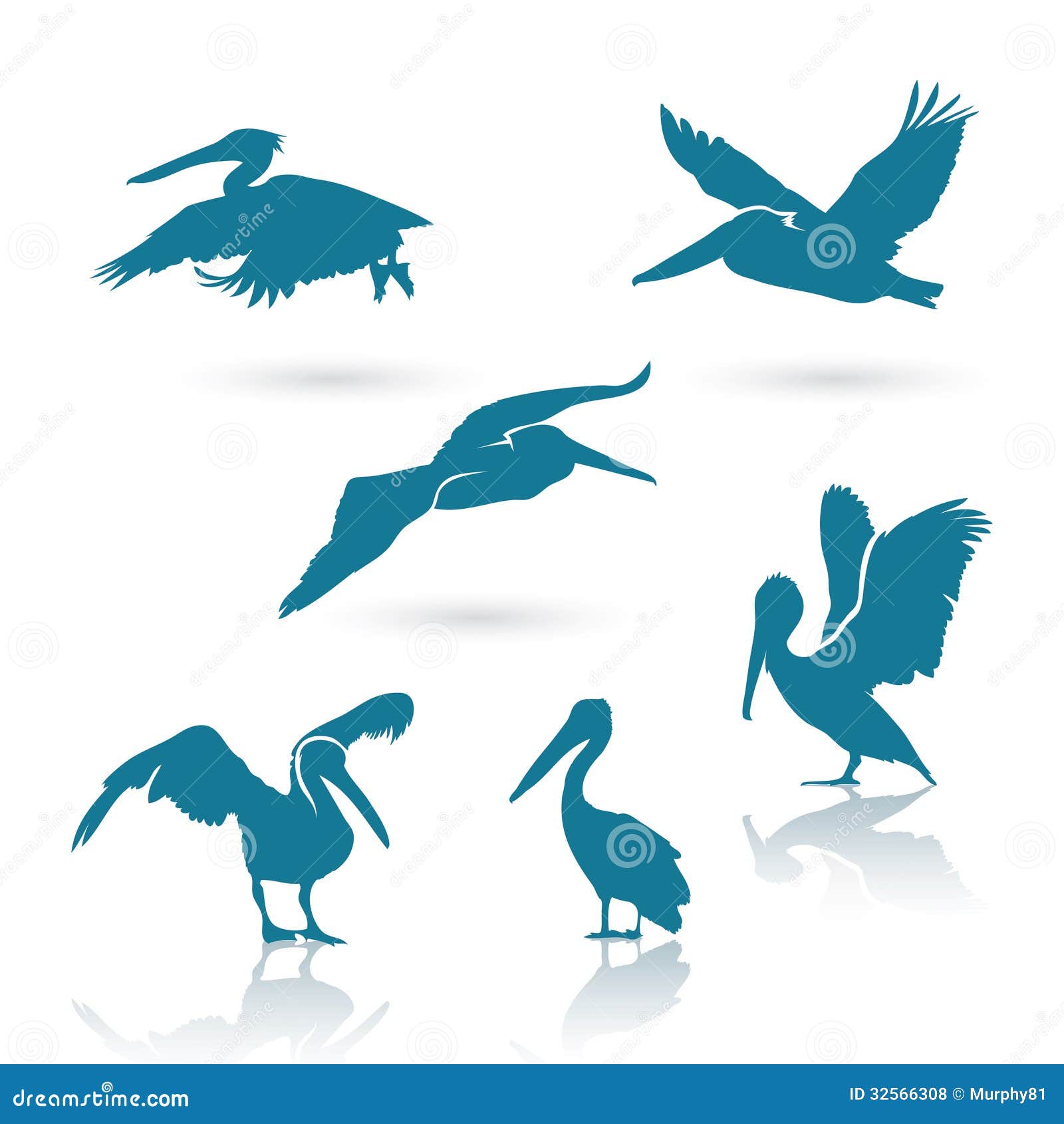 Pelican Vector Illustration | CartoonDealer.com #28804784