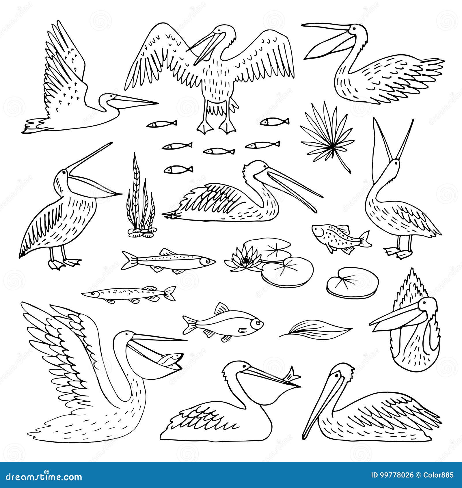 Pelicans Pattern Illustration, Vector Stock Vector - Illustration of ...