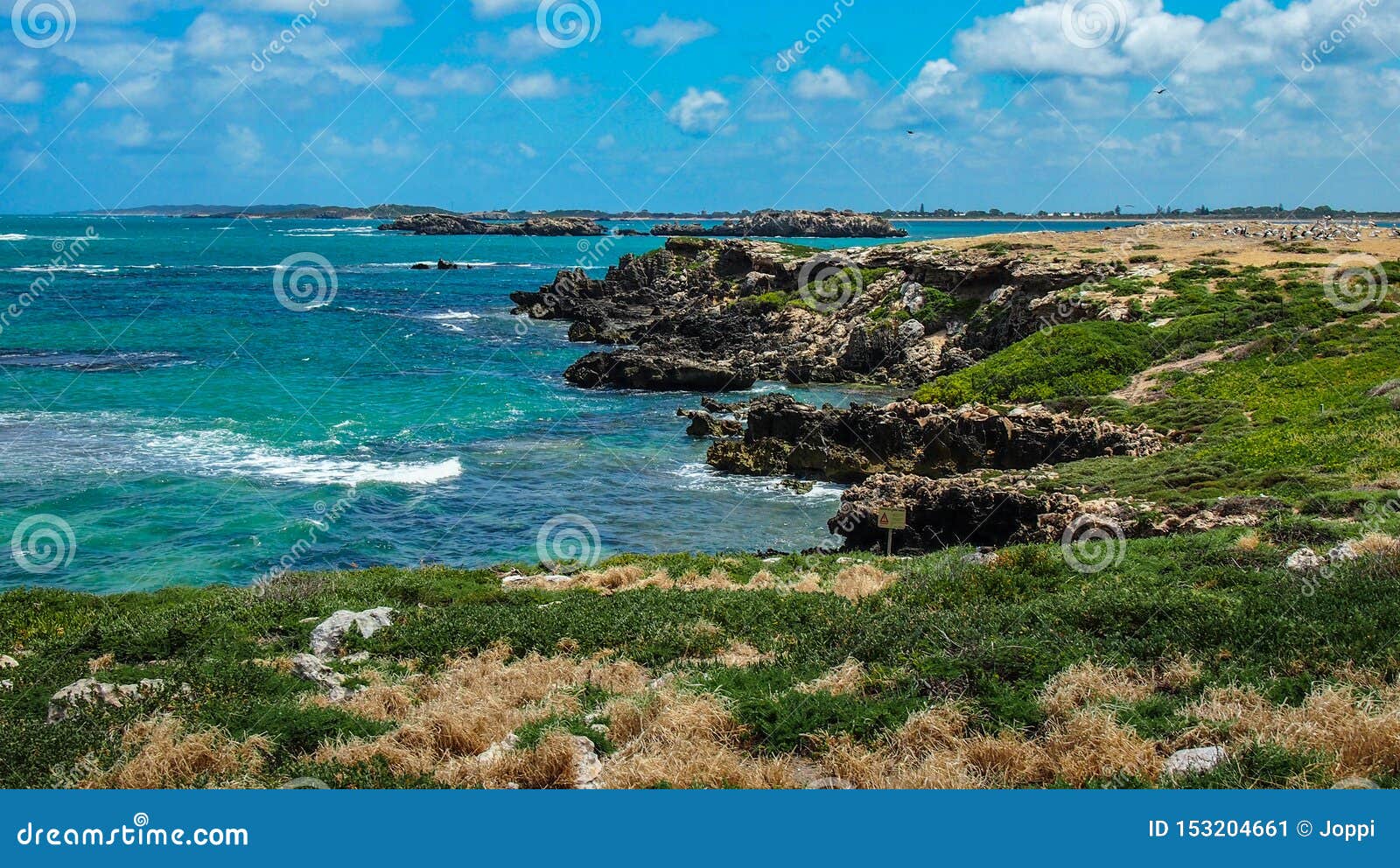 Pelicans in Rockingham, Western Australia, Australia Stock Image ...