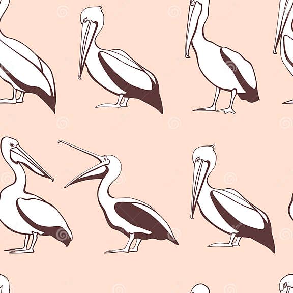 Pelicans seamless pattern stock vector. Illustration of nature - 71980127